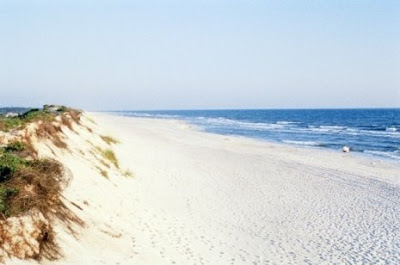 St Joseph Peninsula State Park Florida Pictures | United States Beaches