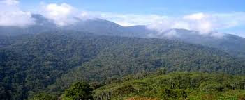 kuta beach beauty: Mount Leuser National Park
