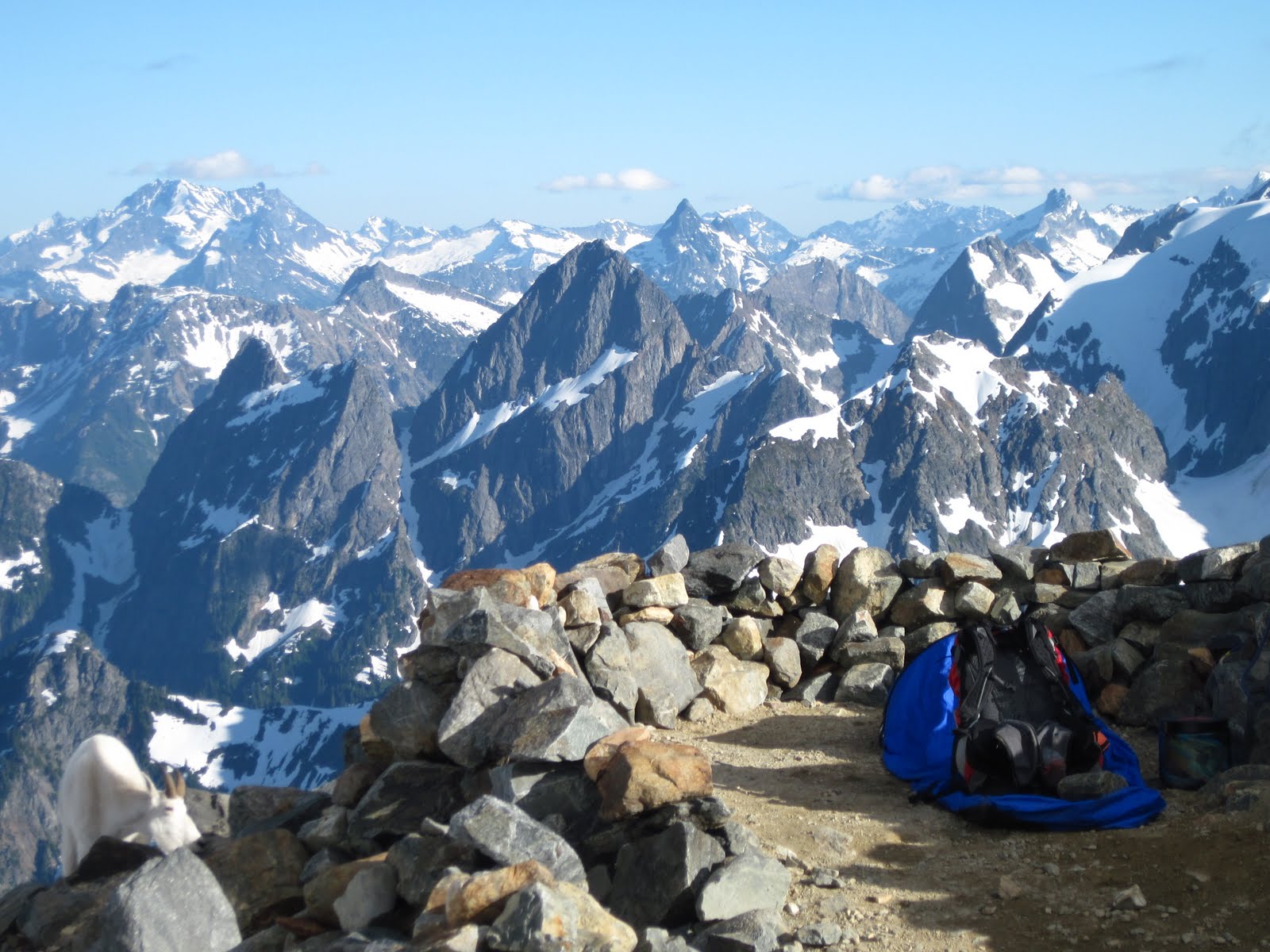Brad's Backcountry Blog: Sahale Arm - 7/17/10