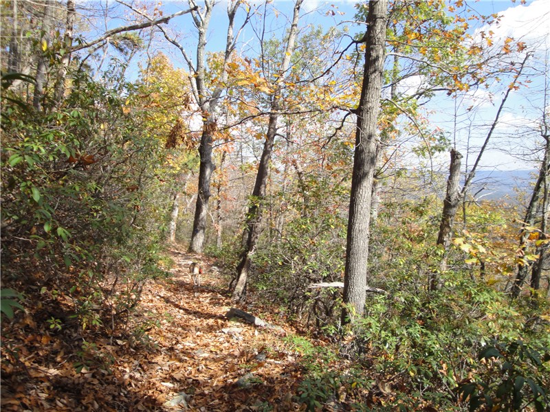 Gone Hikin': Cacapon State Park, WV