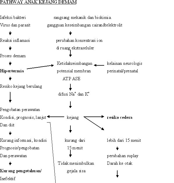 PATHWAY ANAK KEJANG DEMAM | Teguh Subianto