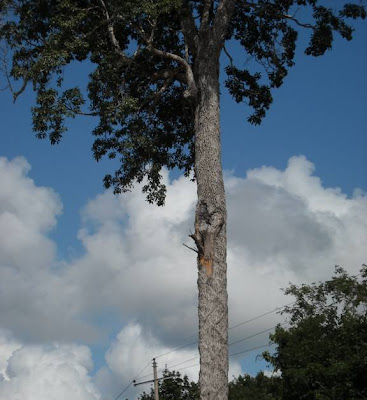 YUCATÁN BY BICYCLE: POLYUC AND DZULA; PAST THE END OF THE ROAD