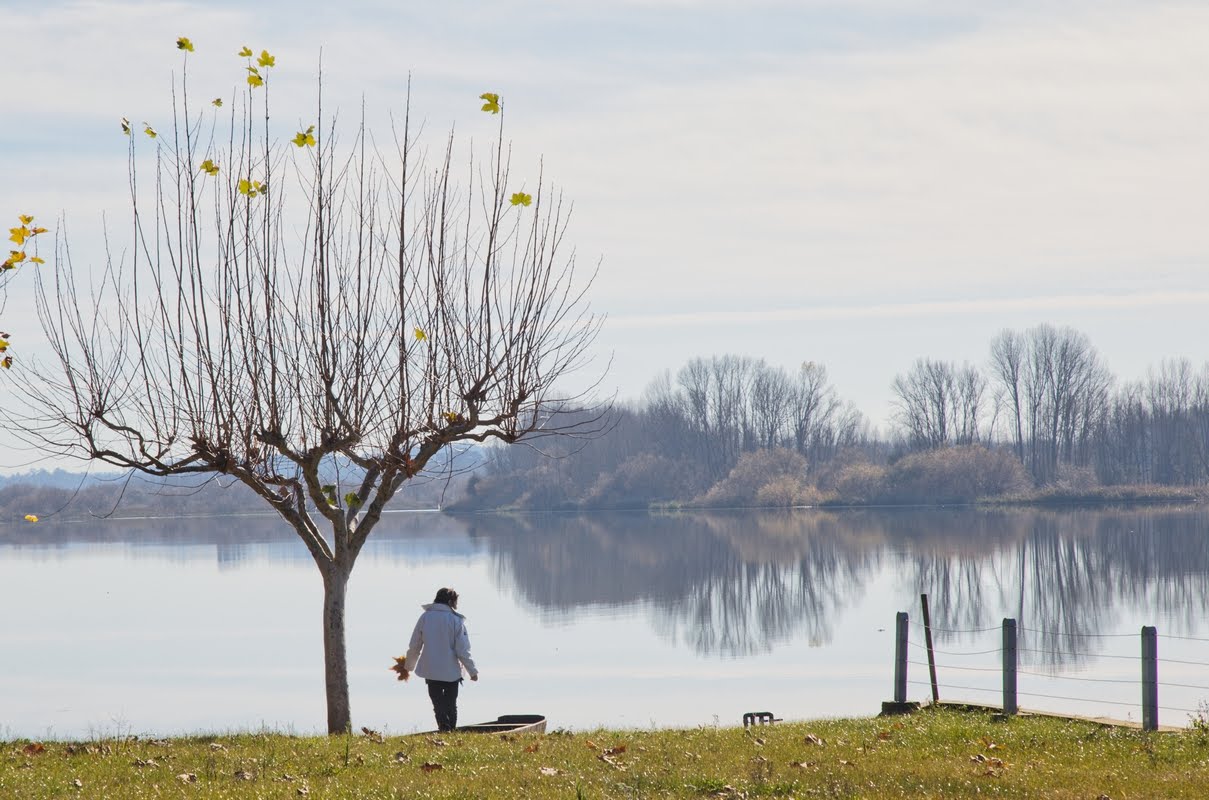 Afonso.Chaby-Fotografia