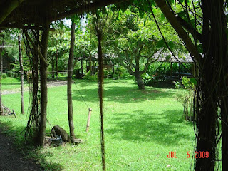 Travel Portal: Kawayan Farm