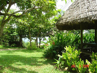 Travel Portal: Kawayan Farm