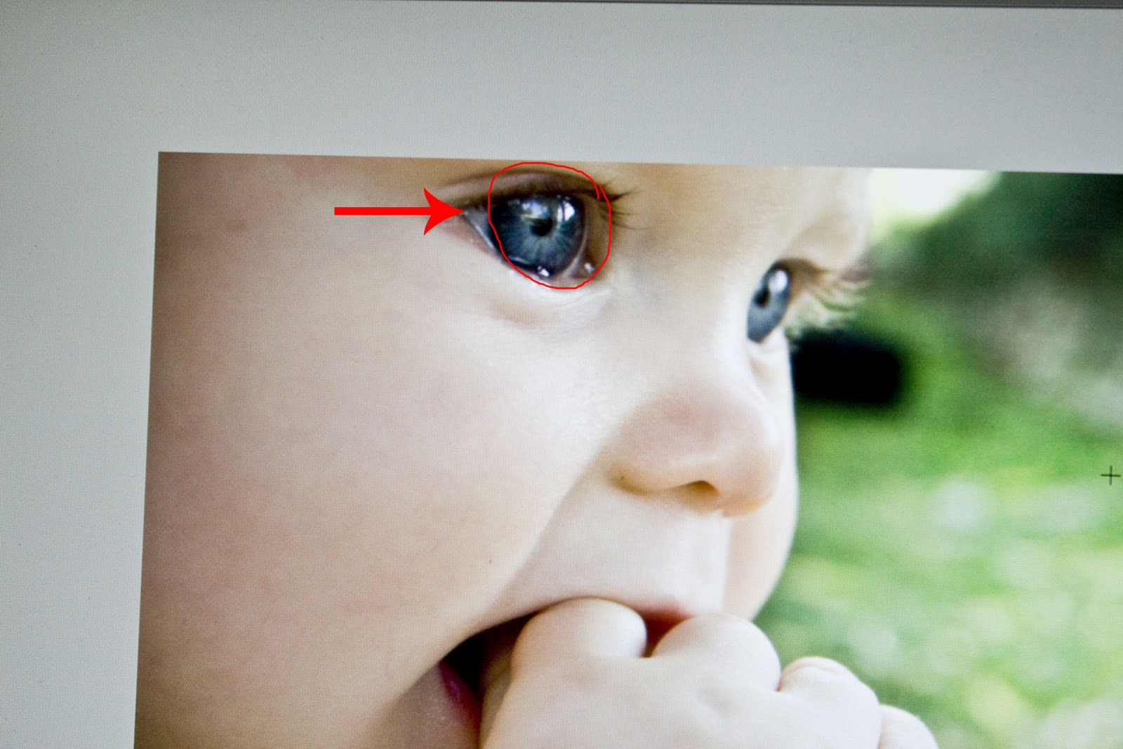 BebaPhotography: PHOTOSHOP TIP: How to Make Eyes "Pop" In Your Pictures