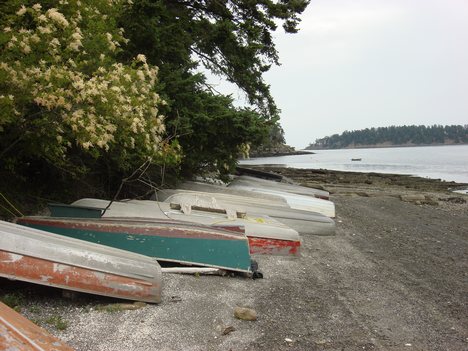 bAck tO BasIC: Hull types (ship & boat) part 1