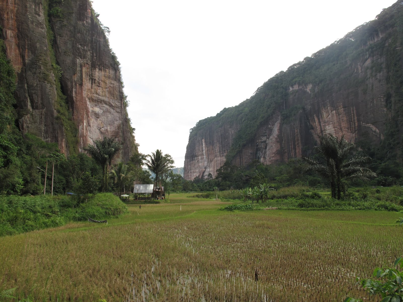 beautiful sights and parasites: Harau Valley visit