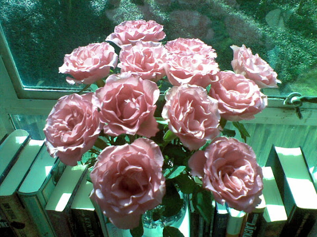 Darhling: All things pink!