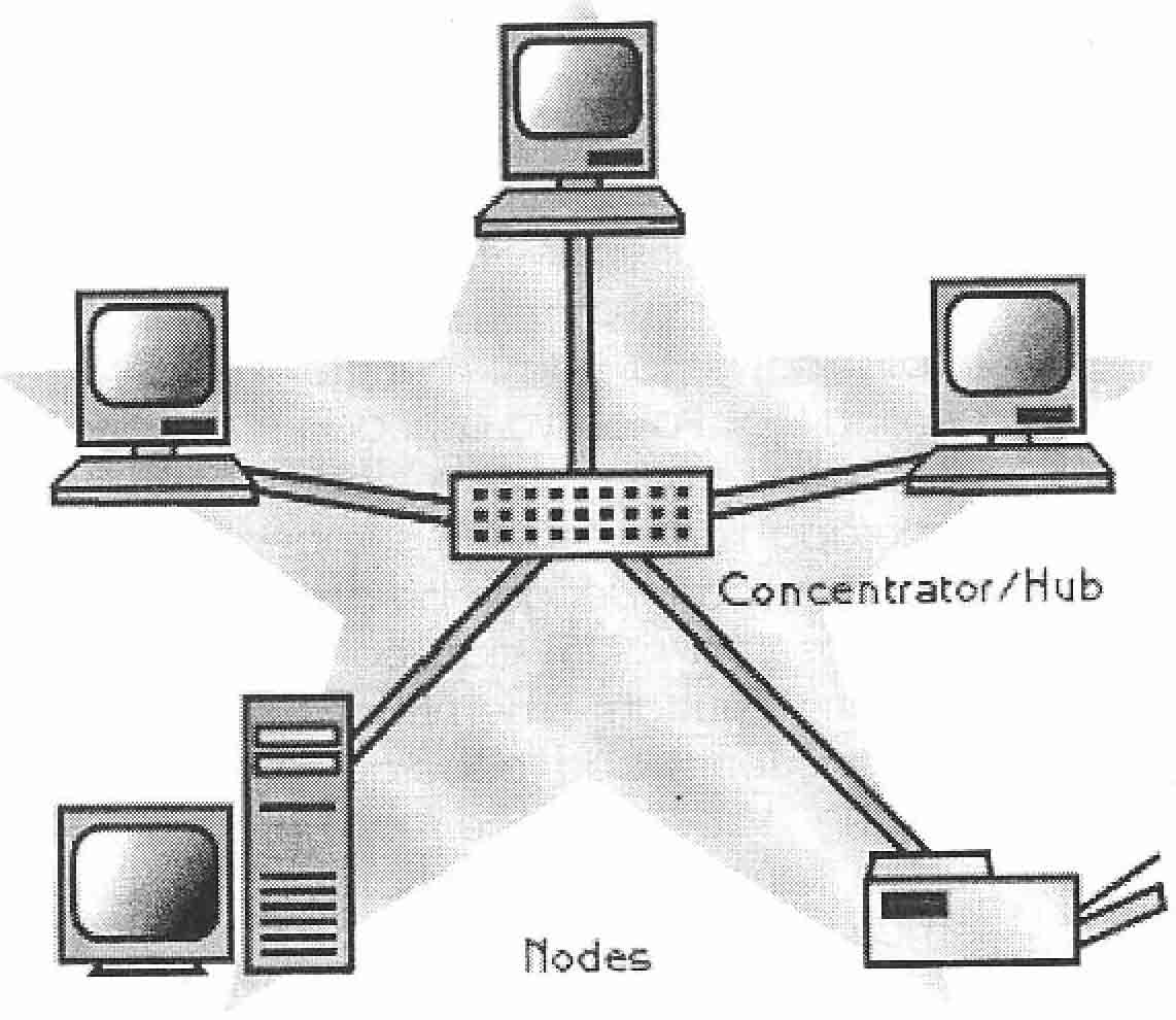 Network Topology | COMPUTER AND TECHNOLOGY