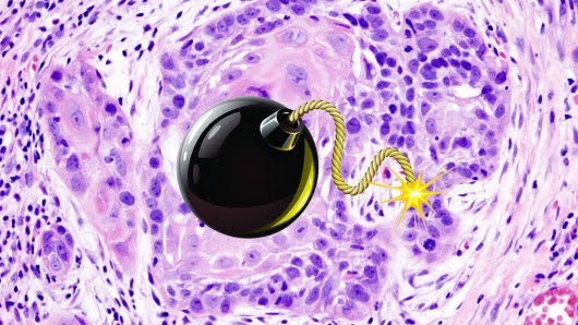 Terra Forming Terra: Cancer Clusterbomb