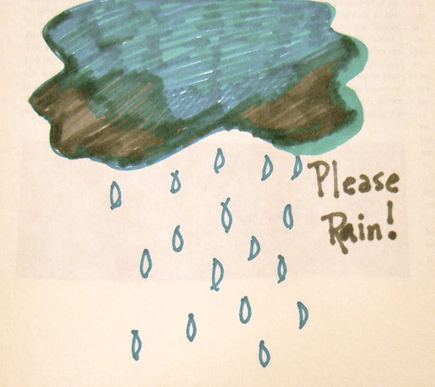 Wednesday's Child: I WANT RAIN