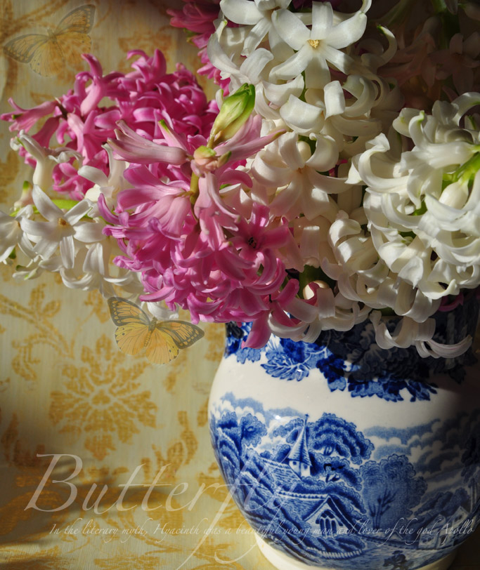 Three Dogs in a Garden: Hyacinth, the Love of the God Apollo