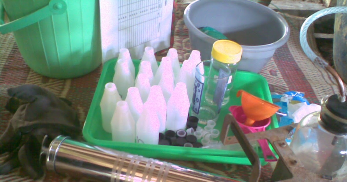 Konsep Cairan Rumen Domba, Paling Top!