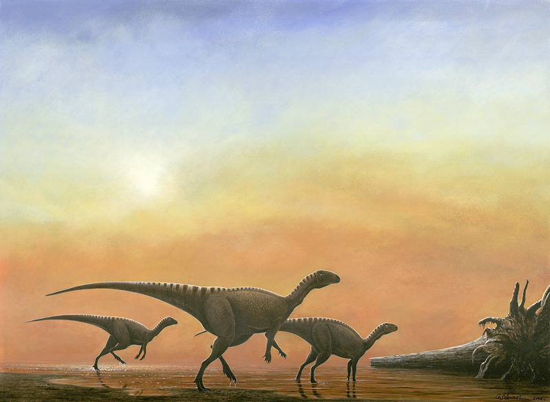 Catálogo Mezozoico: Dryosaurus sp.