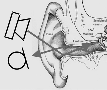 update yourself with us: Biometric