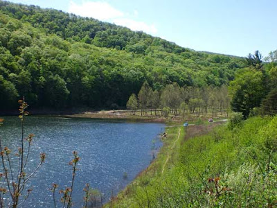 The View from Squirrel Ridge: Hone Quarry Recreation Area