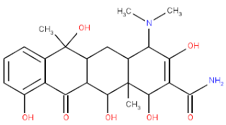 Arnica and Eyebright: Double Tetractys: Tetracycline labeling of bone