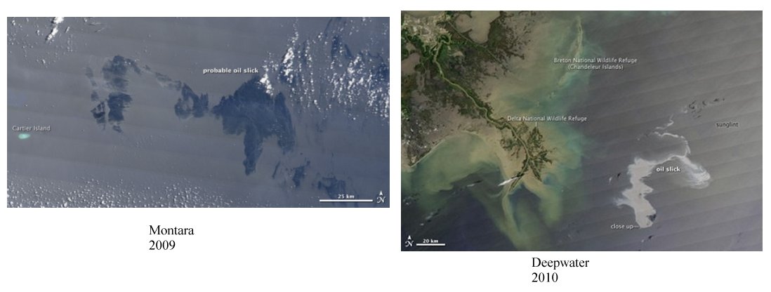 Pensacola Beach Blog: Oil Leak Precedent 'Down Under'