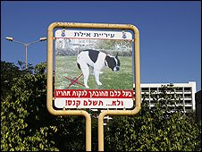 ASTROVET: Curiosità da Israele e dal Giappone