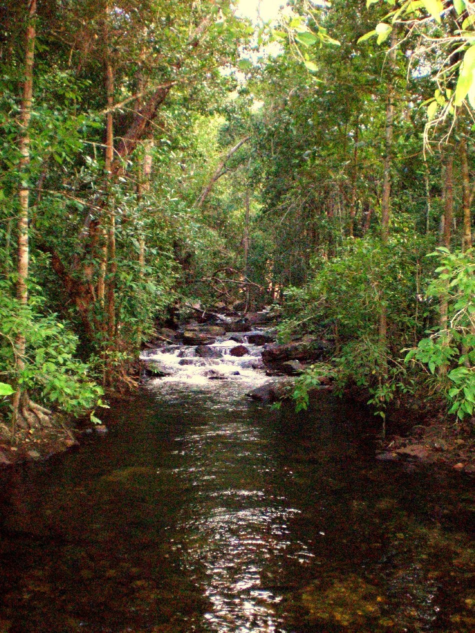 Travel&Work Australien: Ab in die Tropen..schwitzen am Top End!