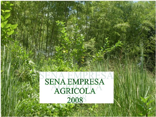 SENAEMPRESA-CENTRO AGROPECUARIO DE BUGA: LA PRODUCCION AGRICOLA EN LA ...