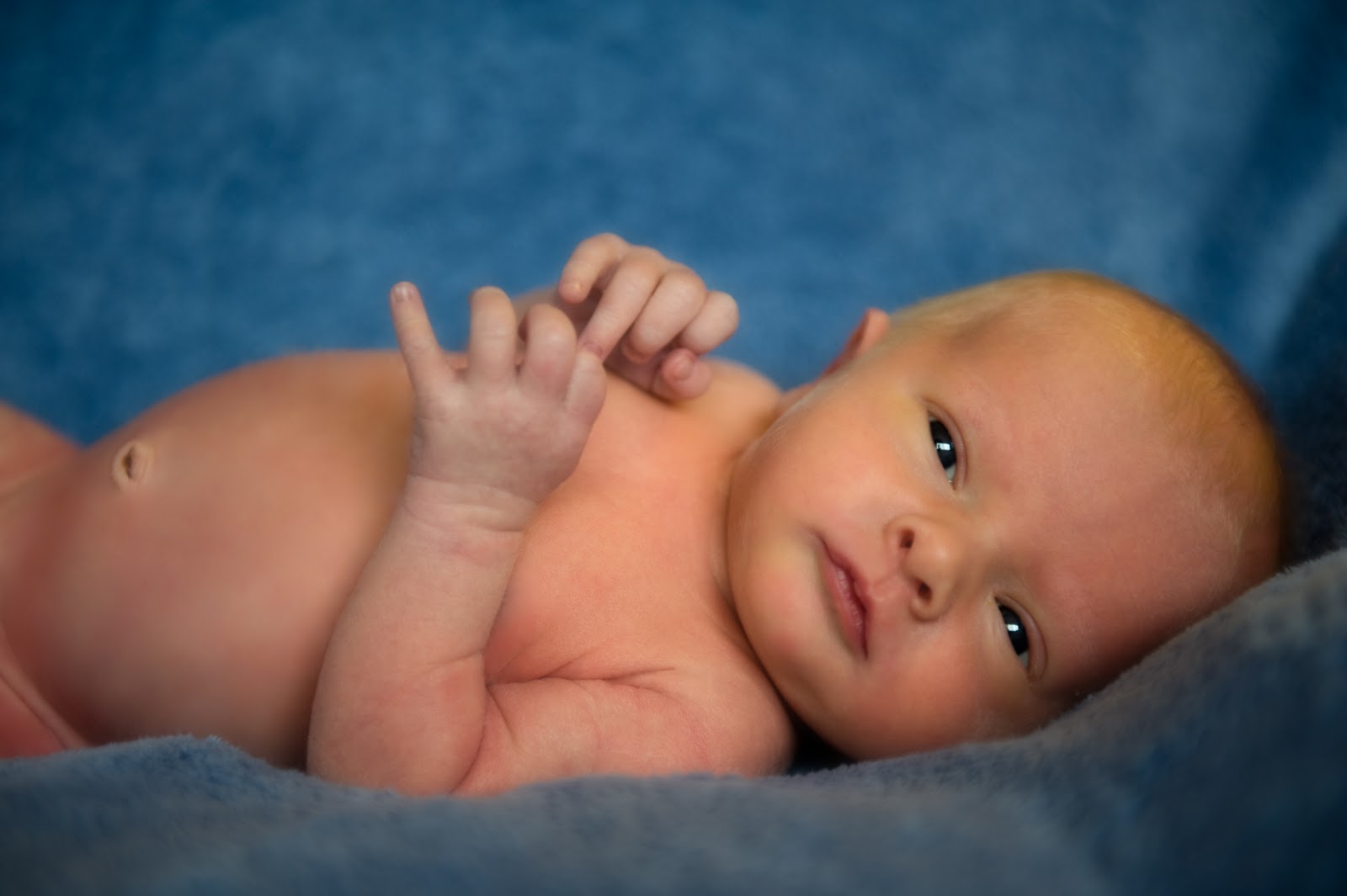 Tammy Bennett Photography: Baby Landon