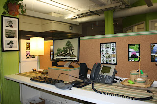Seattle City Style: Extreme Cubicle Makeover