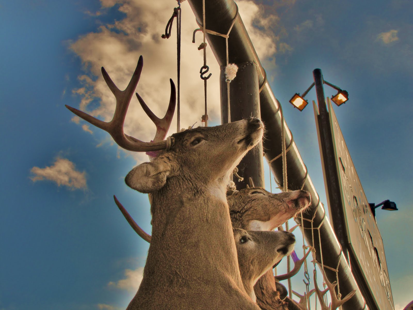 How Did I Get Here?: The Buck Pole