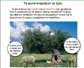 ΧΡΩΜΑΤΟΠΟΙΟΙ: ΤΑ ΜΕΡΗ ΤΟΥ ΦΥΤΟΥ