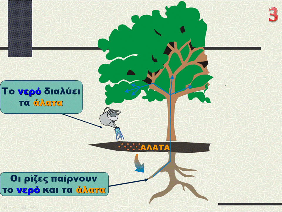 ΧΡΩΜΑΤΟΠΟΙΟΙ: ΦΩΤΟΣΥΝΘΕΣΗ