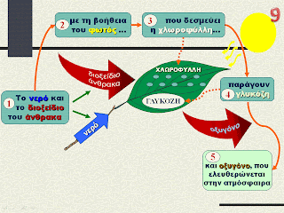 ΧΡΩΜΑΤΟΠΟΙΟΙ: ΦΩΤΟΣΥΝΘΕΣΗ