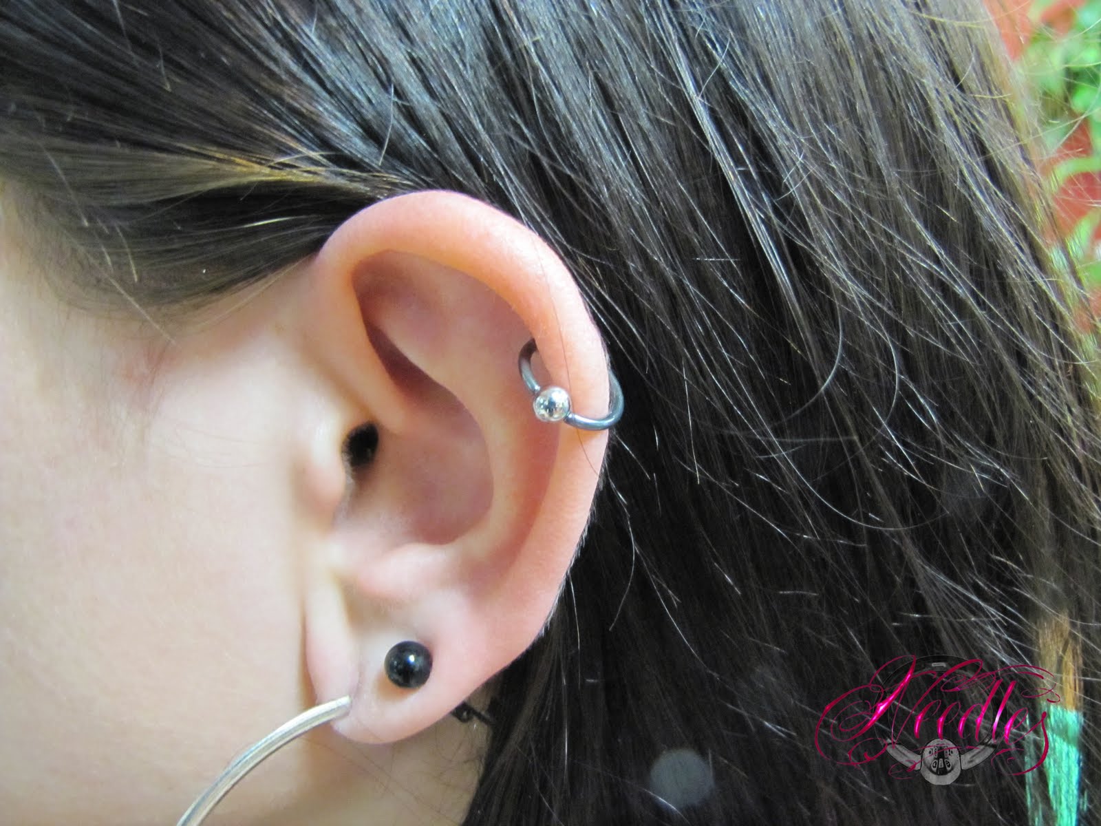 NINE BODY PIERCING BLOG: Fresh Anti-Tragus and Healed Helix