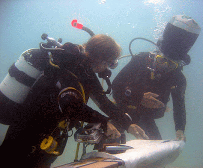 Fun Forex: Underwater Ironing World Record
