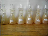 Biology - Cat and Lupe's Dissolved Oxygen Lab Blog: DISSOLVED OXYGEN LAB