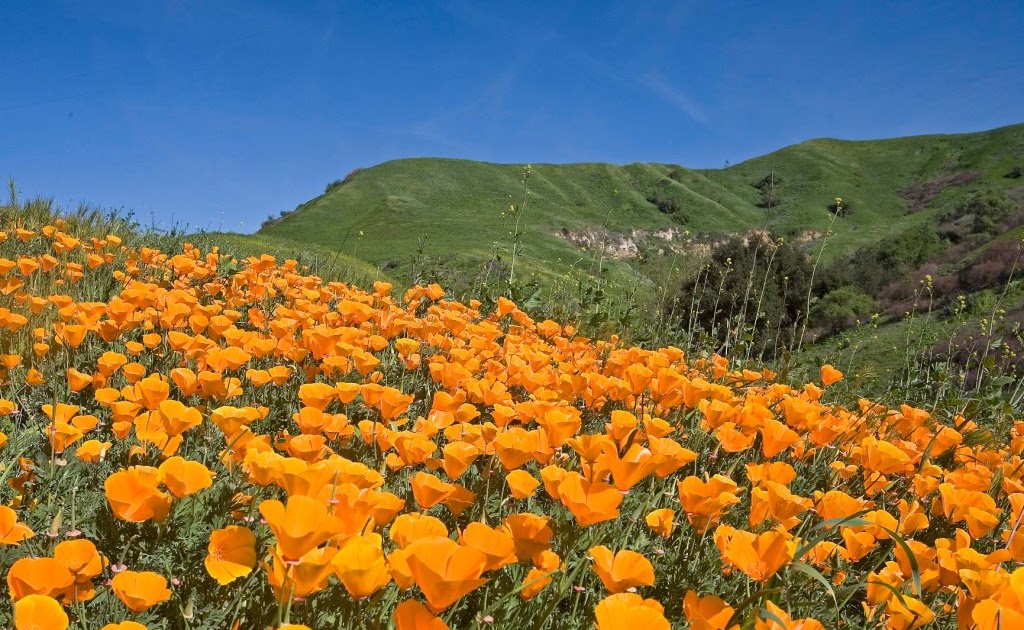 Southern California Hiking Trails: Chino Hills State Park