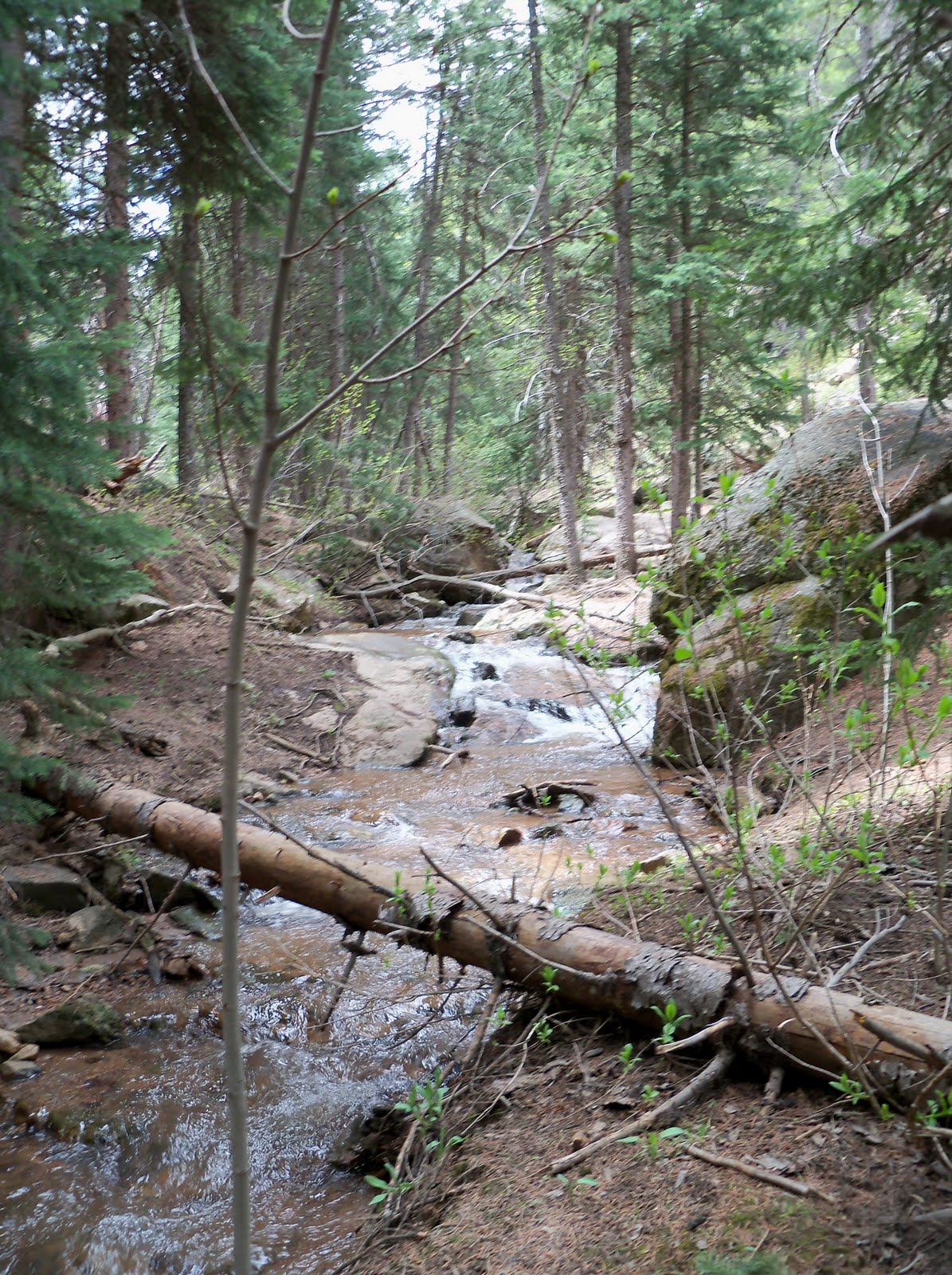 Trail and Park Reviews: Lower Maxwell Falls in Evergreen, Colorado