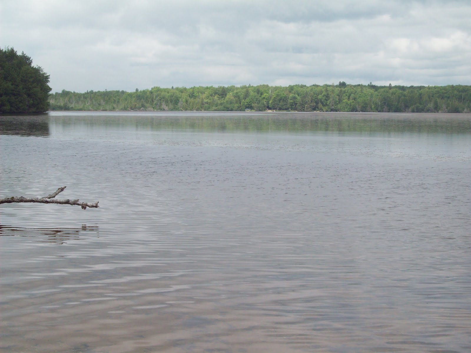 Trail and Park Reviews: Road Trip Day 4; Switchback Ridge Scenic Foot ...