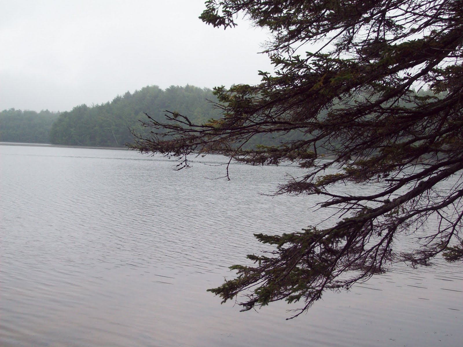 Trail and Park Reviews: Road Trip Day 3; Little Brevoort Lake ...