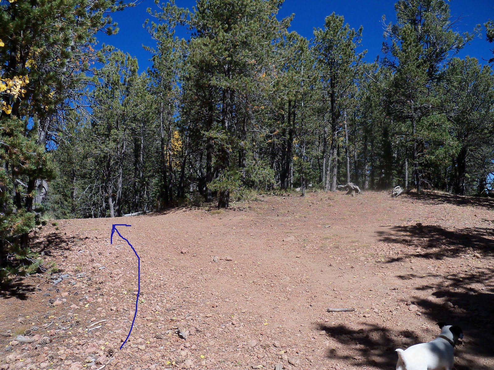 Trail and Park Reviews: Fall colors are nearing their peak in the Rocky ...