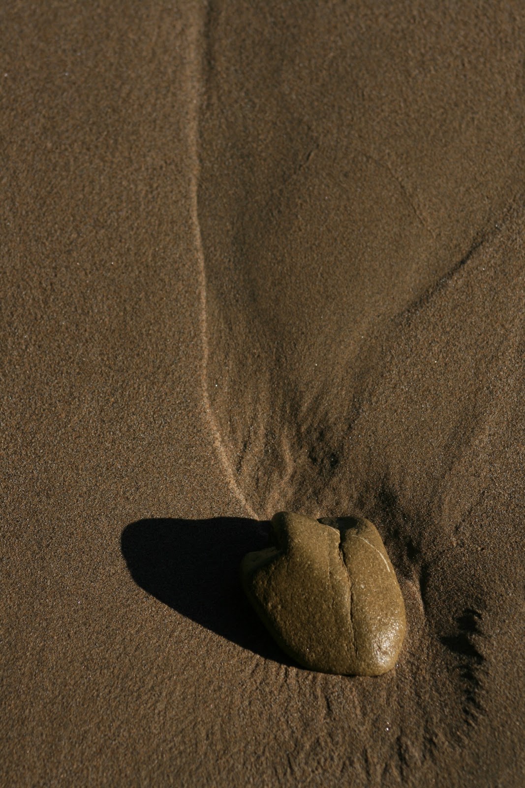 Maybe I'm Nuts...But...: Hot Shots