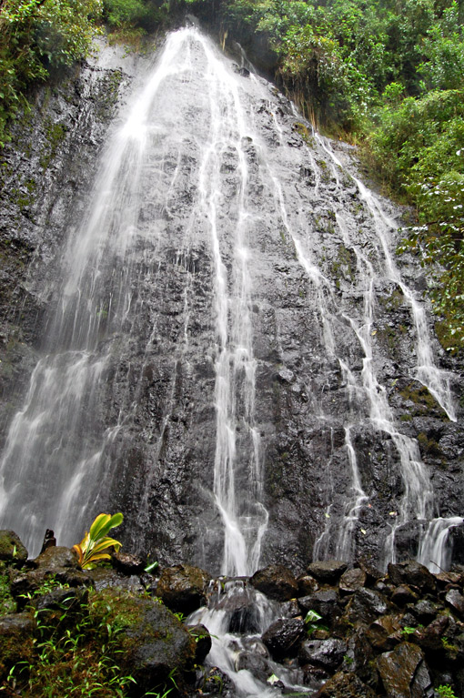 Island Trails: Hamama Falls and Waihe'e Falls - October 26, 2010