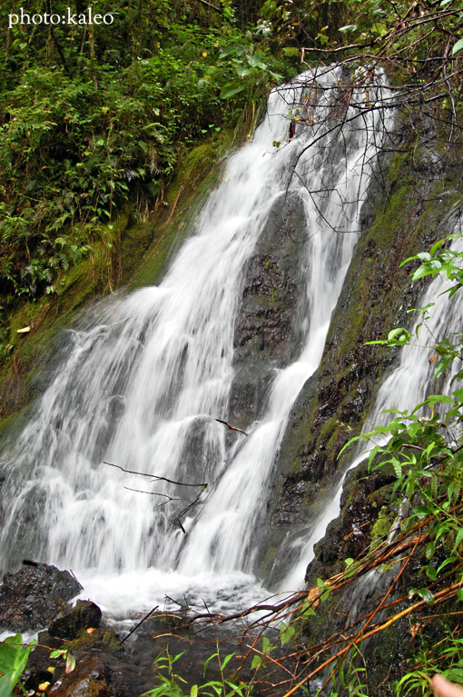 Island Trails: Hamama Falls and Waihe'e Falls - October 26, 2010