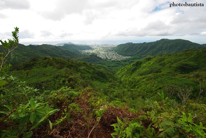 Island Trails: Manoa Middle to Wa'ahila - January 16, 2011