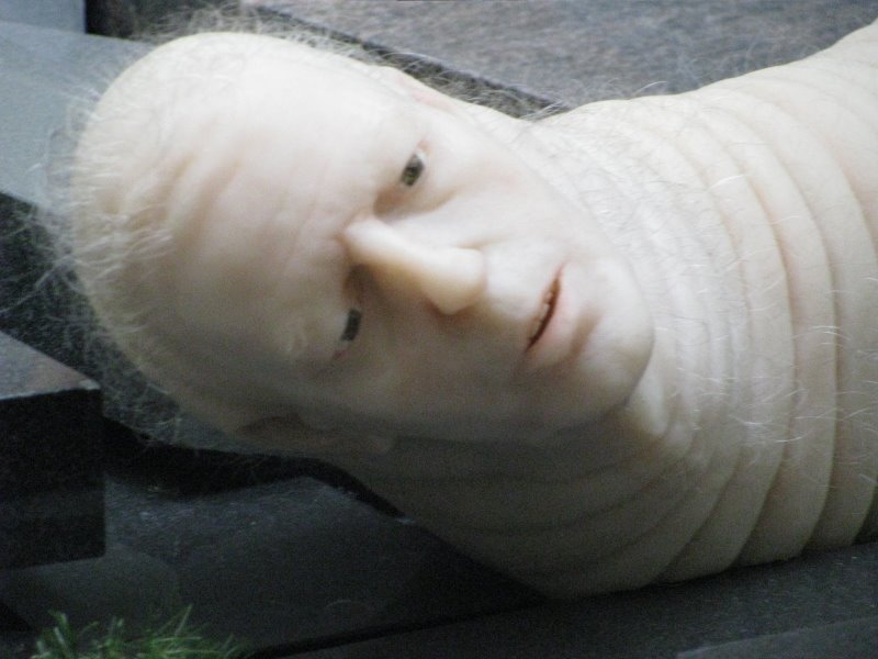 Schweetisch!: Worm-man.