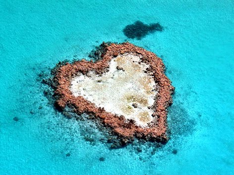 References - YOUR CHANCE TO HELP NEMO