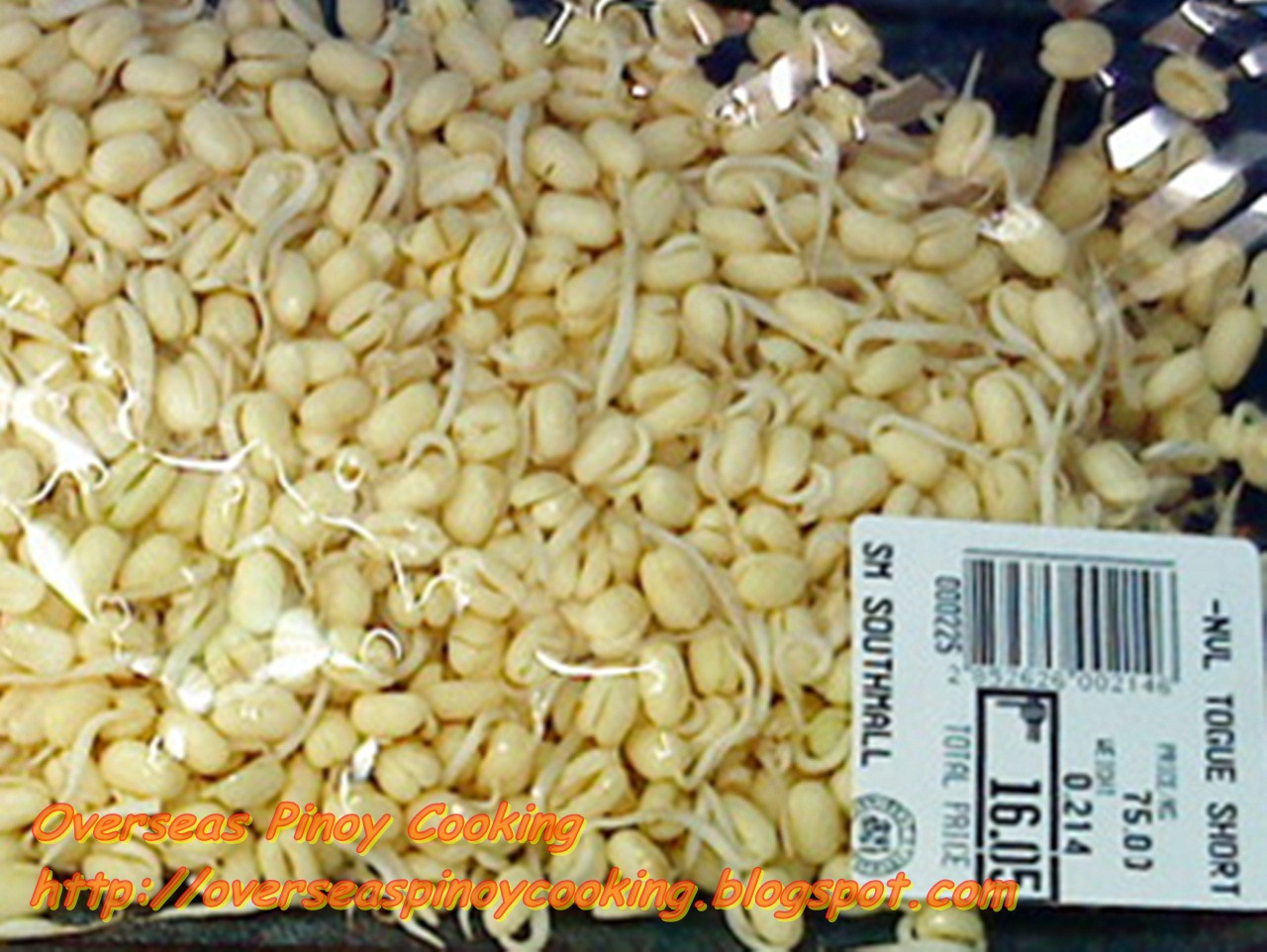 Sautéed Mung Bean Sprouts