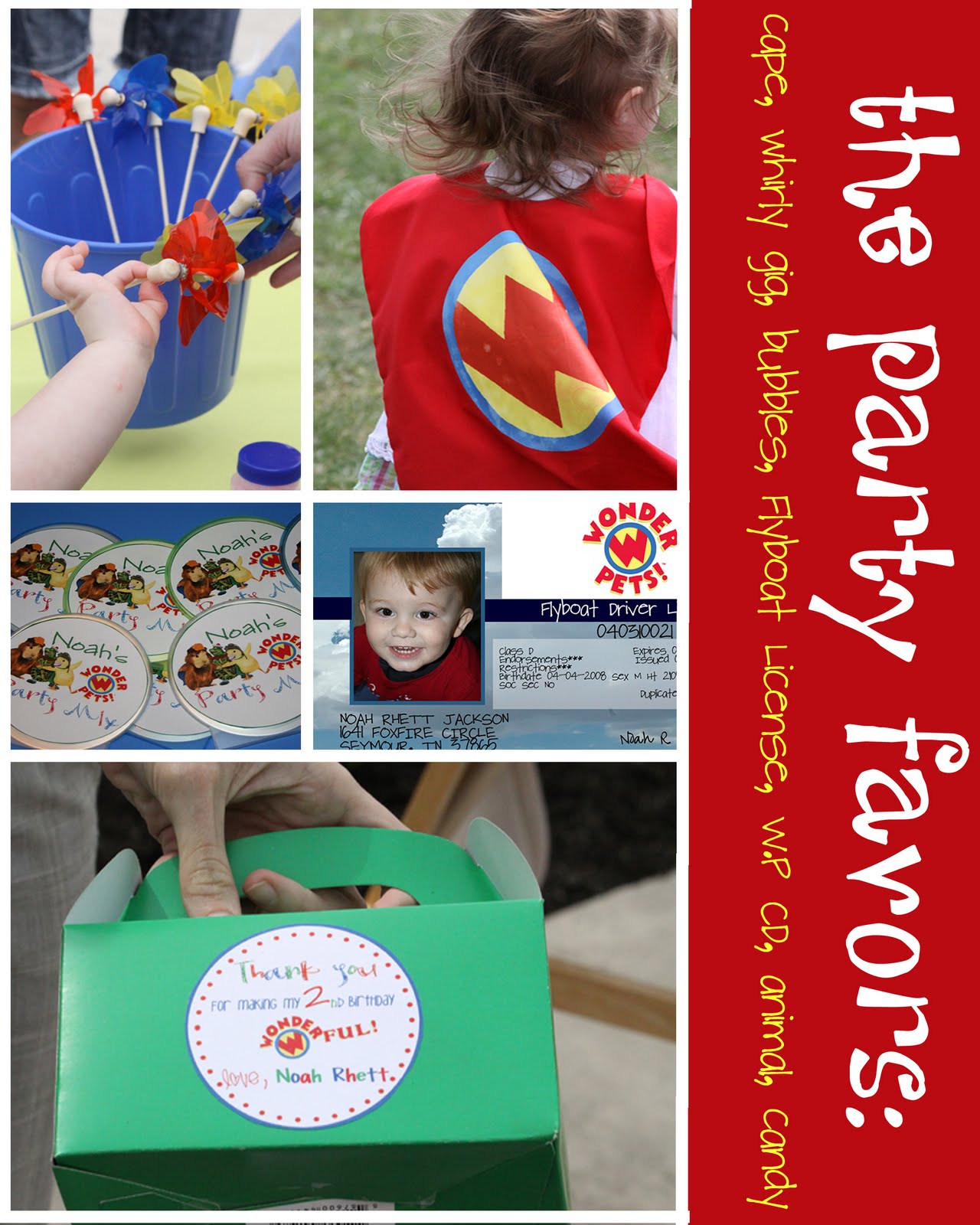 Moo Moo's & Tutus: Noah's Wonder Pets Birthday Party