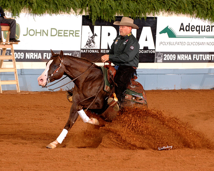 Reining Lives: Clínica de Rédeas com Shawn e Mike Flarida