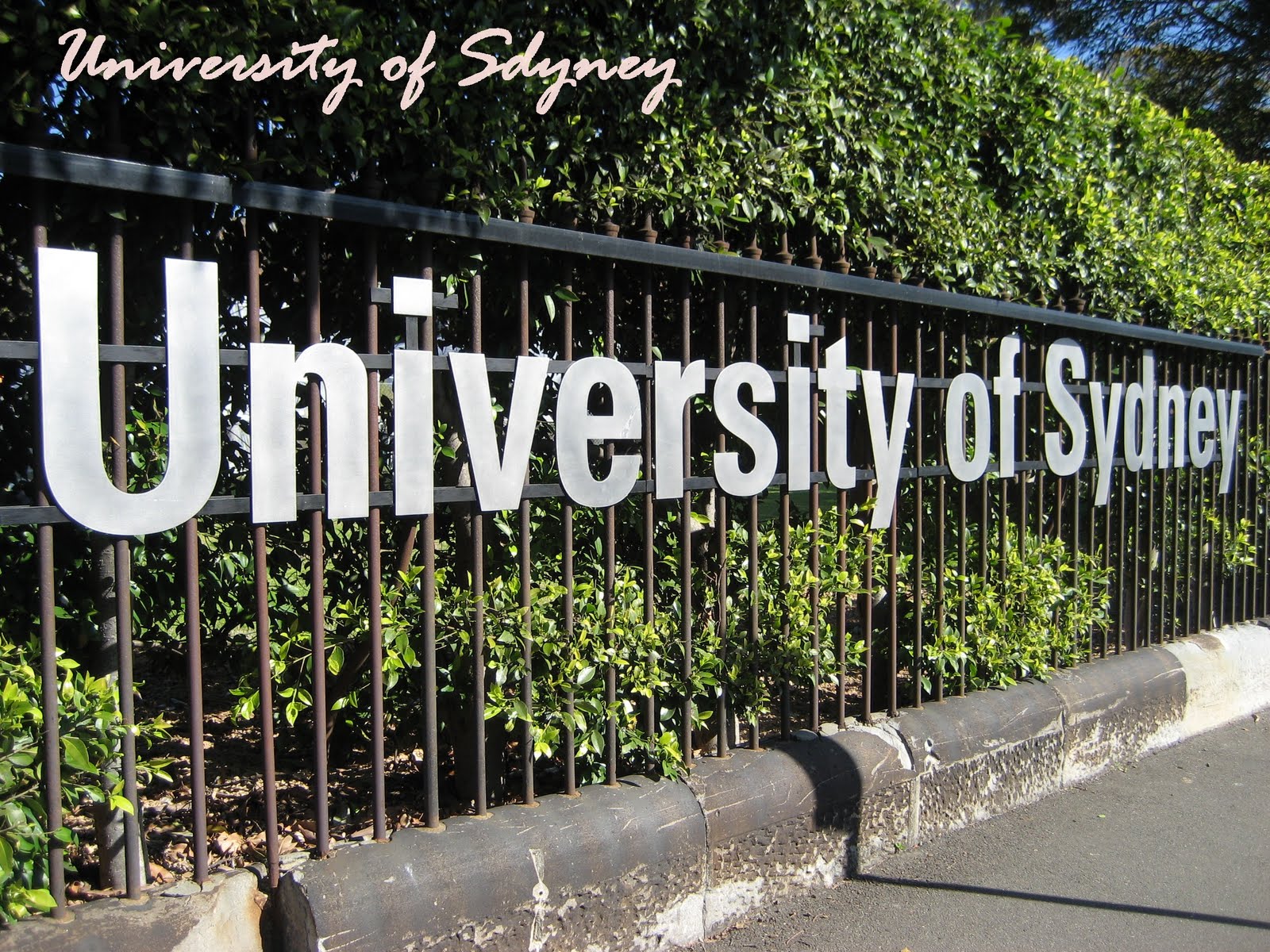 Ordinary people with extraordinary life: University of Sydney- oPen Day